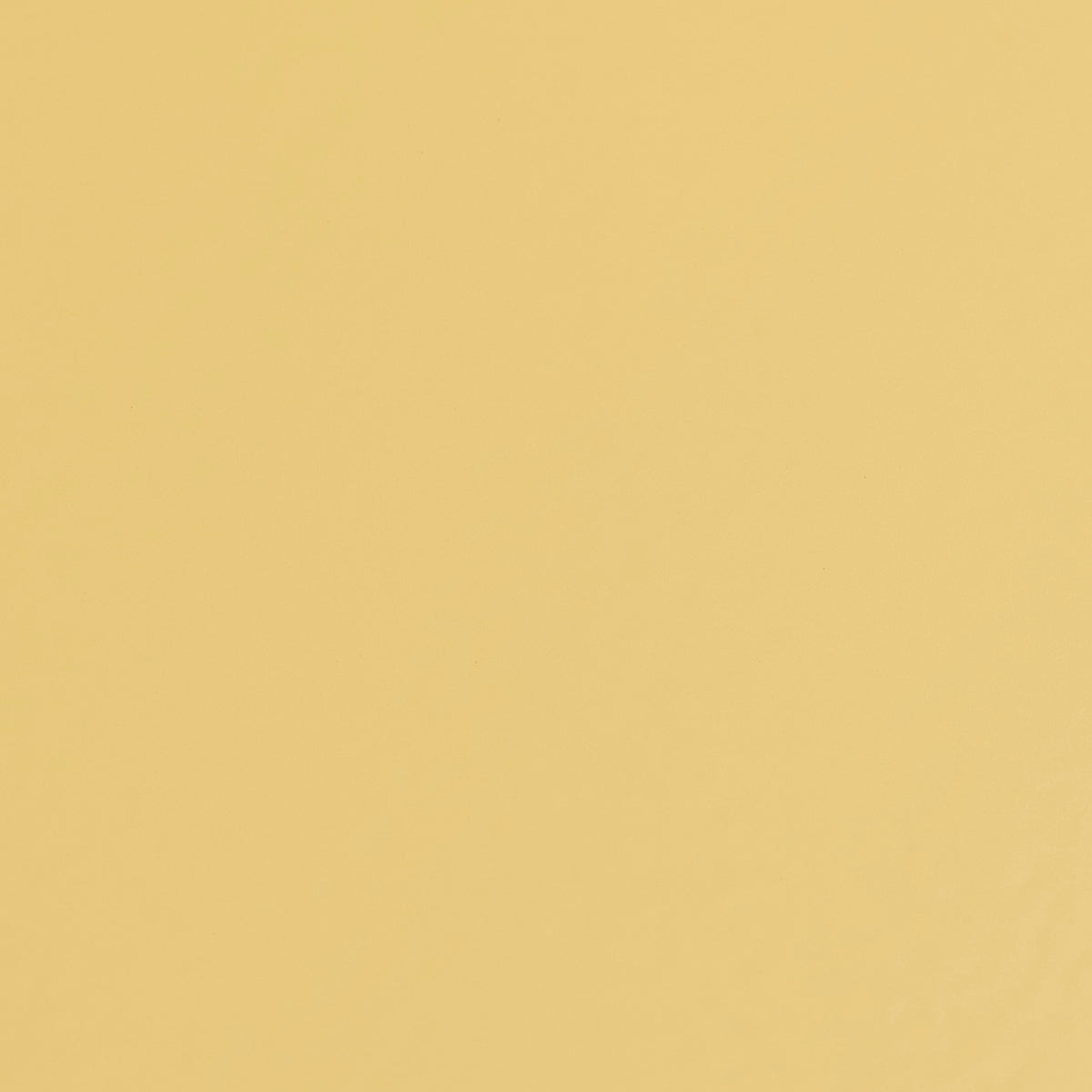 TOYO Trunk Shape Toolbox T-190 Y (Italian yellow) | TOYO STEEL Co., Ltd.